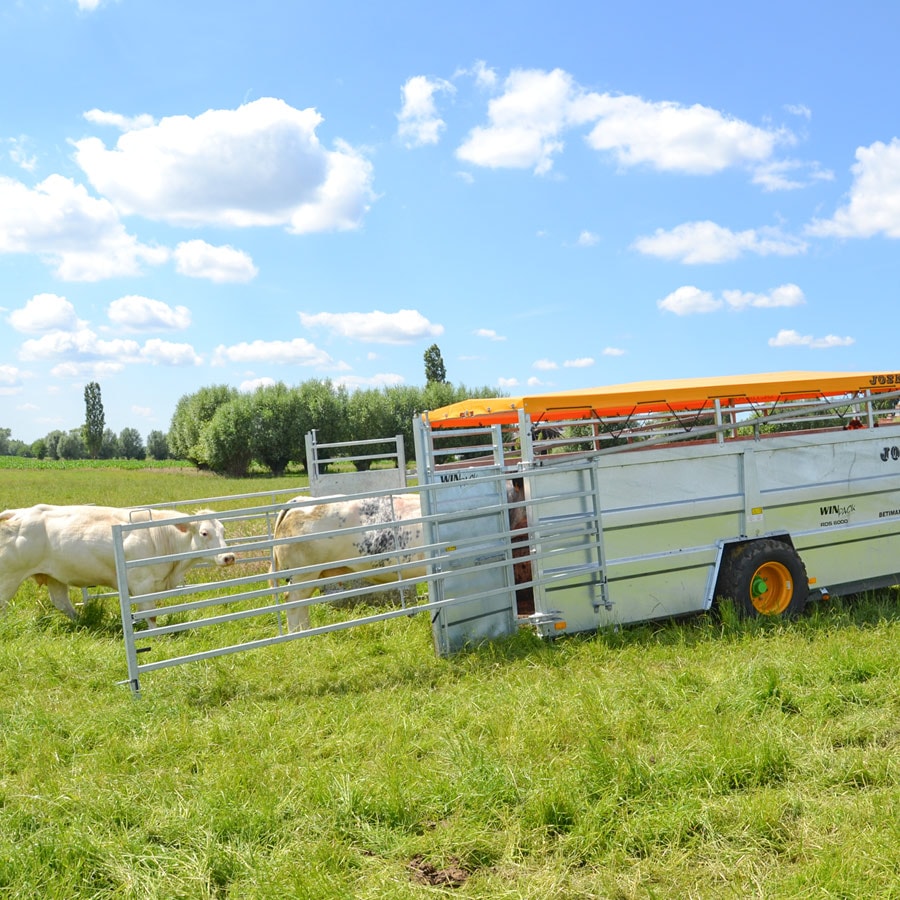 JOSKIN Cattle trailers Betimax RDS